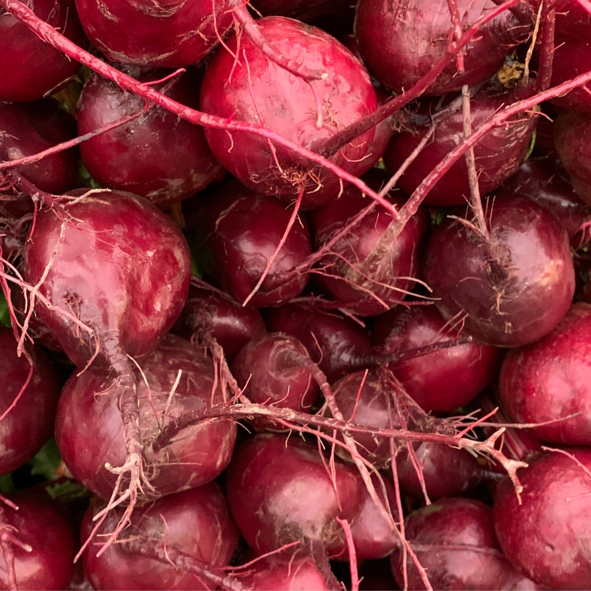 Bulk Beets (Purple)